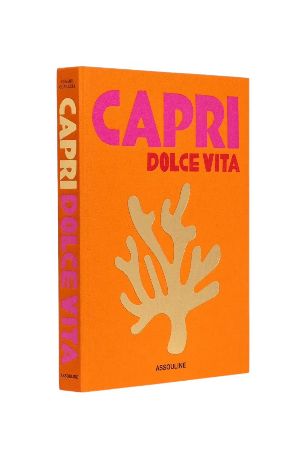 Assouline Capri Dolce Vita Book – Monkee's of the Village